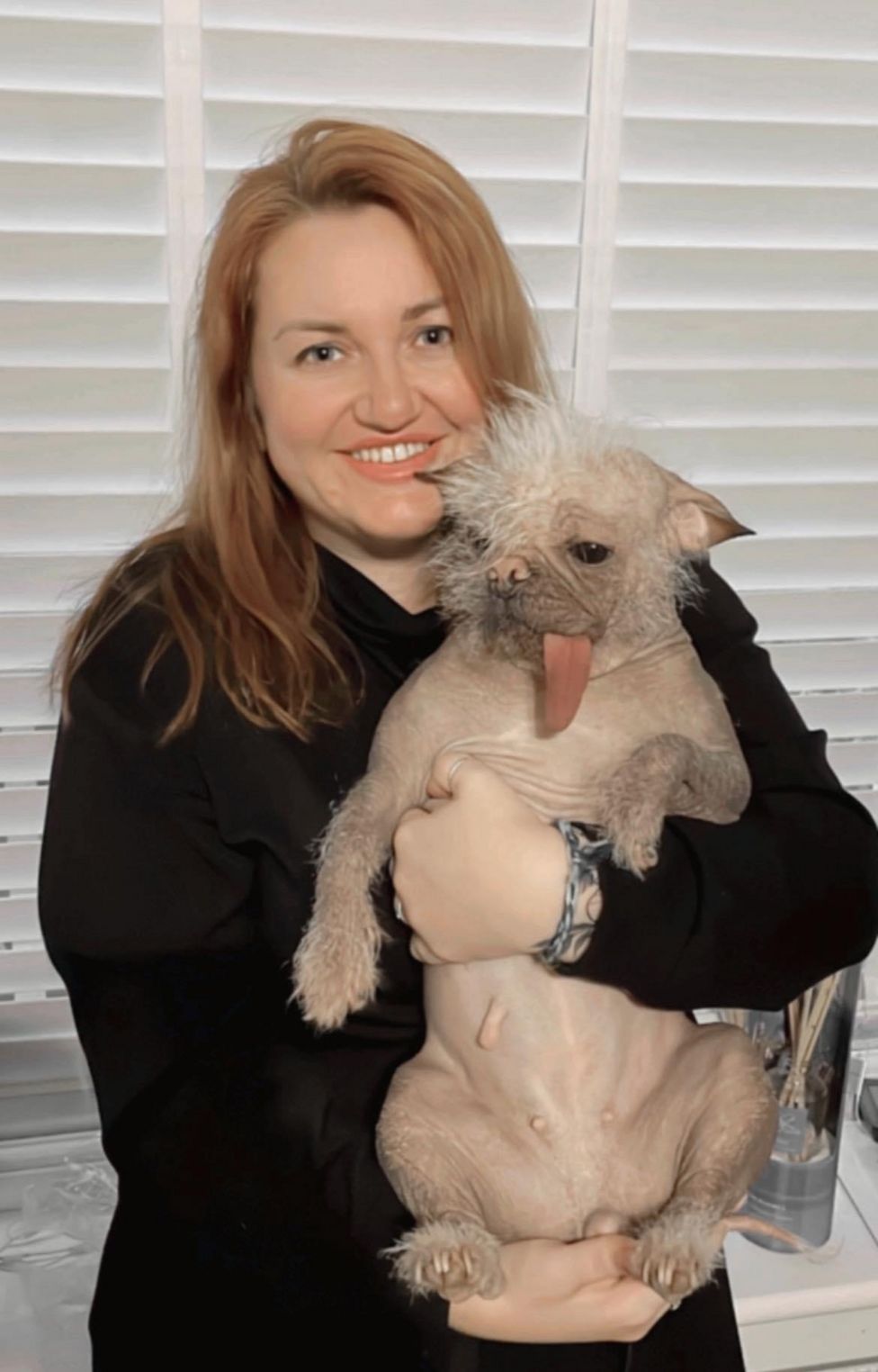 Britain's ugliest dog: Peggy the pugese is the winner! - BBC Newsround