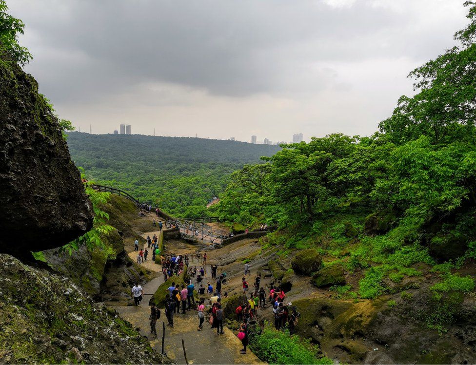 Your pictures on the theme of 'green spaces' - BBC News