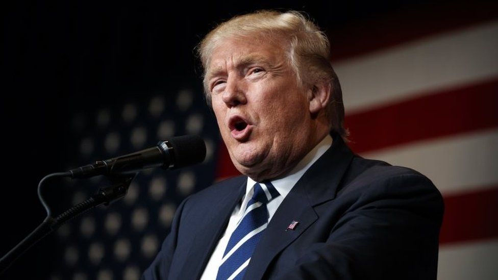 US election 2016: Could recounts change result? - BBC News