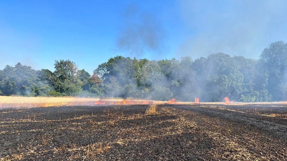 Field fire: Huge combine harvester fire rips through crops - BBC News