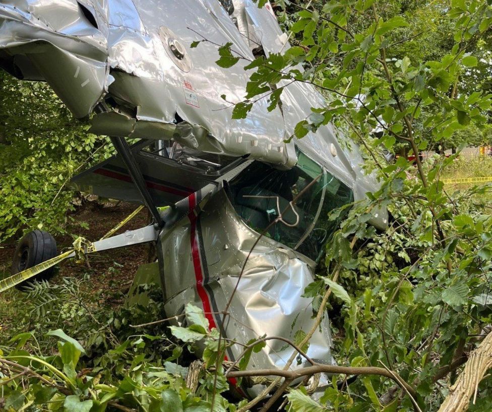 'Miraculous' outcome after plane lands in tree - BBC News
