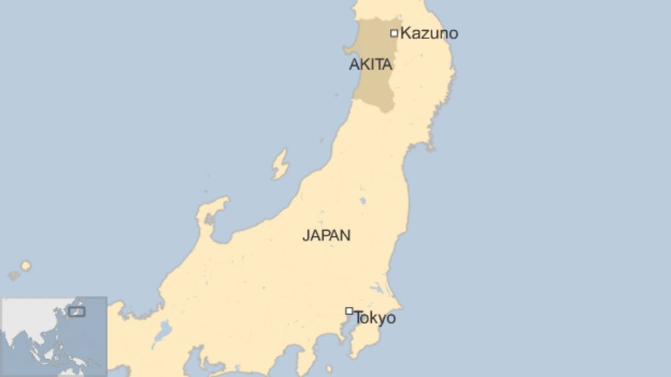 'Human remains' found in Japan bear shot after four attacks - BBC News
