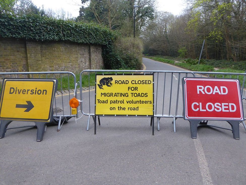 Your pictures on the theme of 'barriers' - BBC News