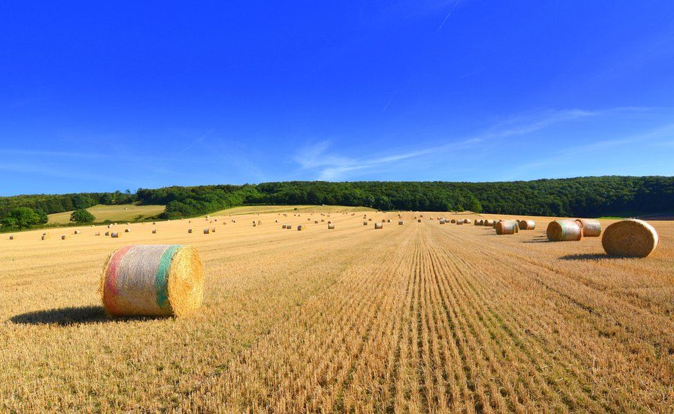 England's Big Picture: 22 - 28 August - BBC News