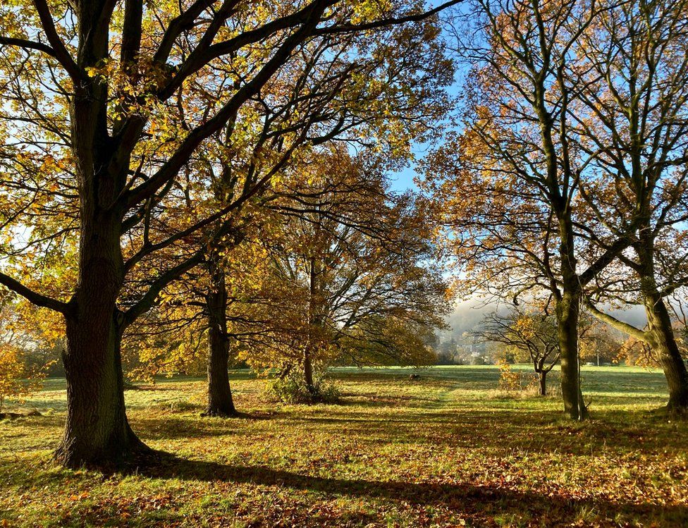 England's Big Picture: 28 November - 4 December 2022 - BBC News