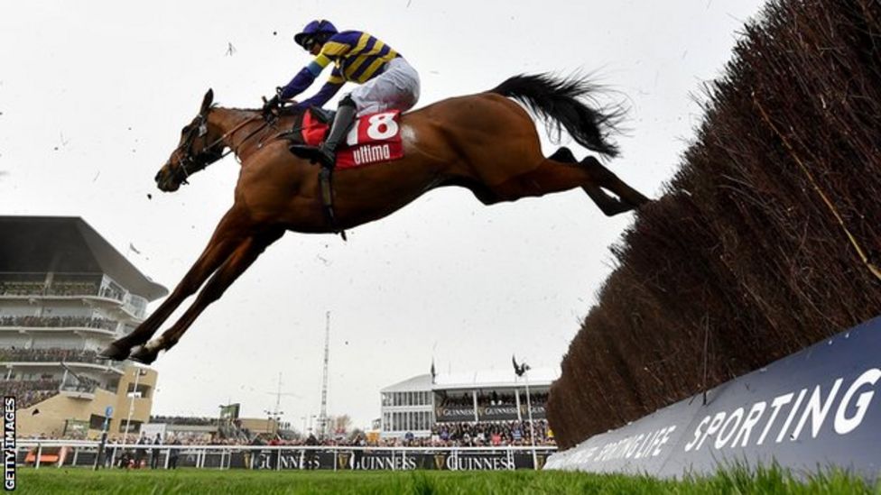 Lucinda Russell-trained Corach Rambler wins at Cheltenham Festival ...