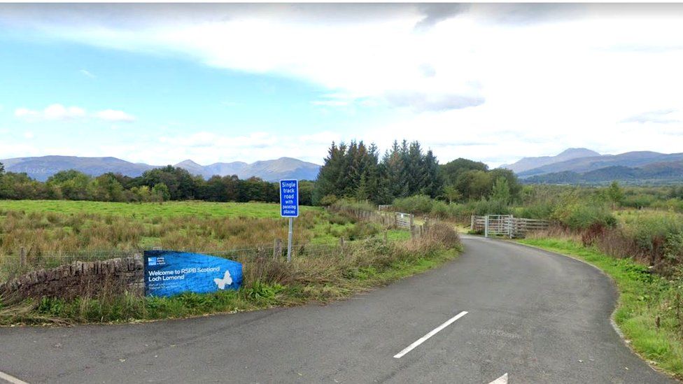 Beaver family given go ahead for Loch Lomond move - BBC News