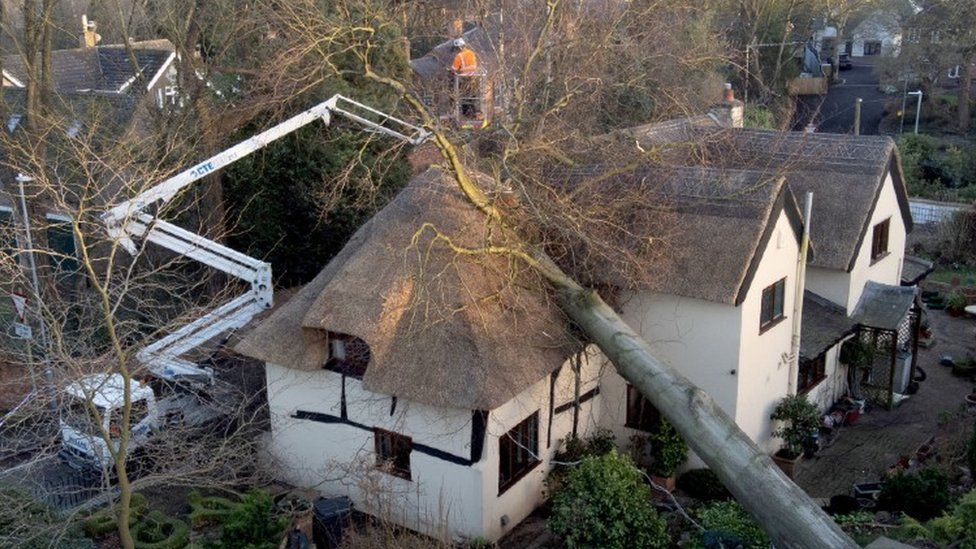 Storm Franklin: Couple facing year out of house hit by tree - BBC News
