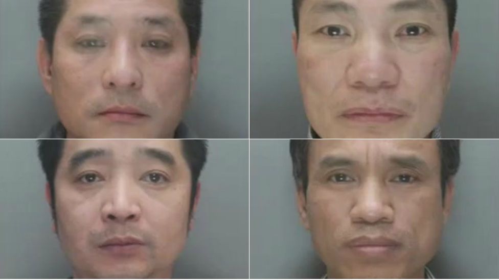 Four jailed over £13m Everton high-rise cannabis farm - BBC News