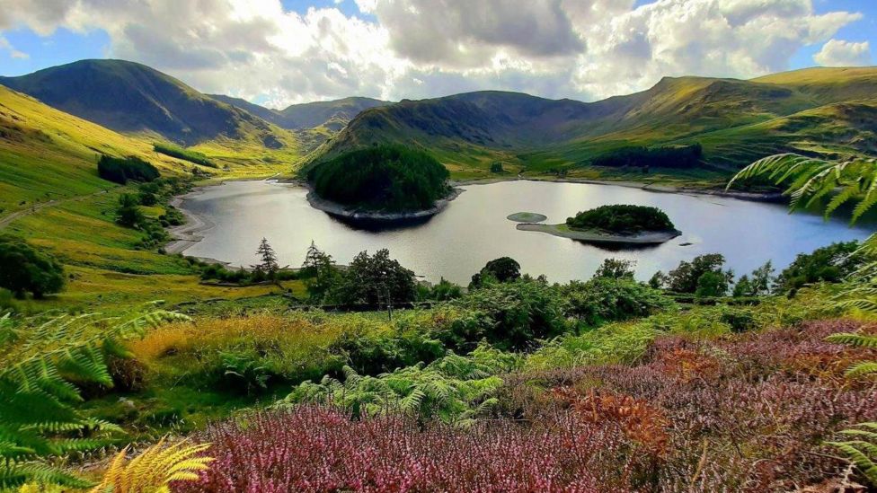 Cumbria landscapes receive £4m boost to wildlife havens - BBC News