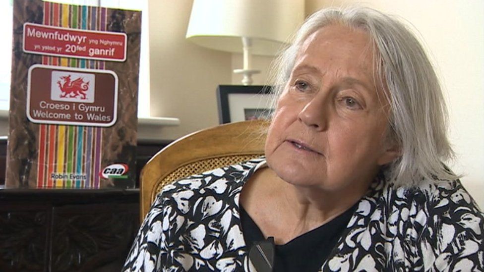 Galw ar bob disgybl yng Nghymru i ddysgu am hanes Cymru - BBC Cymru Fyw