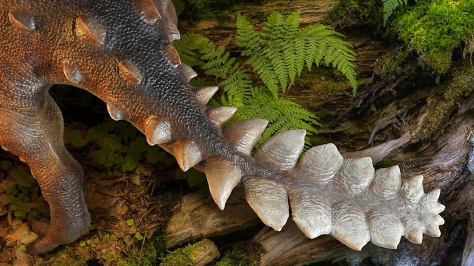 Ankylosaurus: Scientists discover new dinosaur species with 'battle axe ...