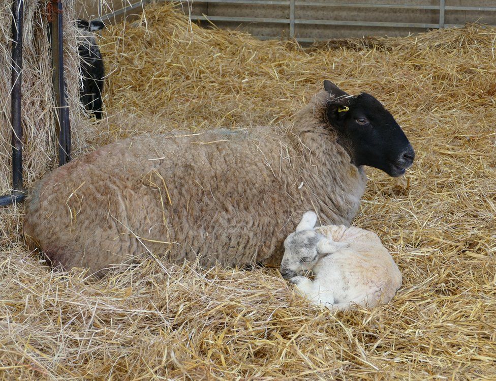 England's Big Picture: 27 February - 5 March 2023 - BBC News