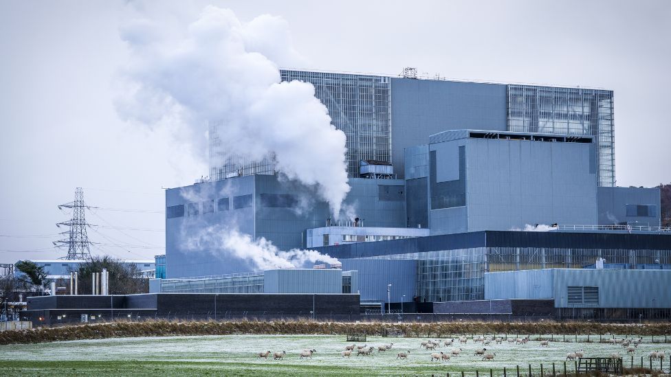 Hopes for subsea cable boom in Scotland - BBC News