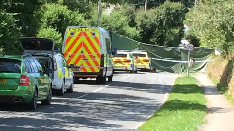 Cornwall hit-and-run death: Parliament could revise penalties - BBC News