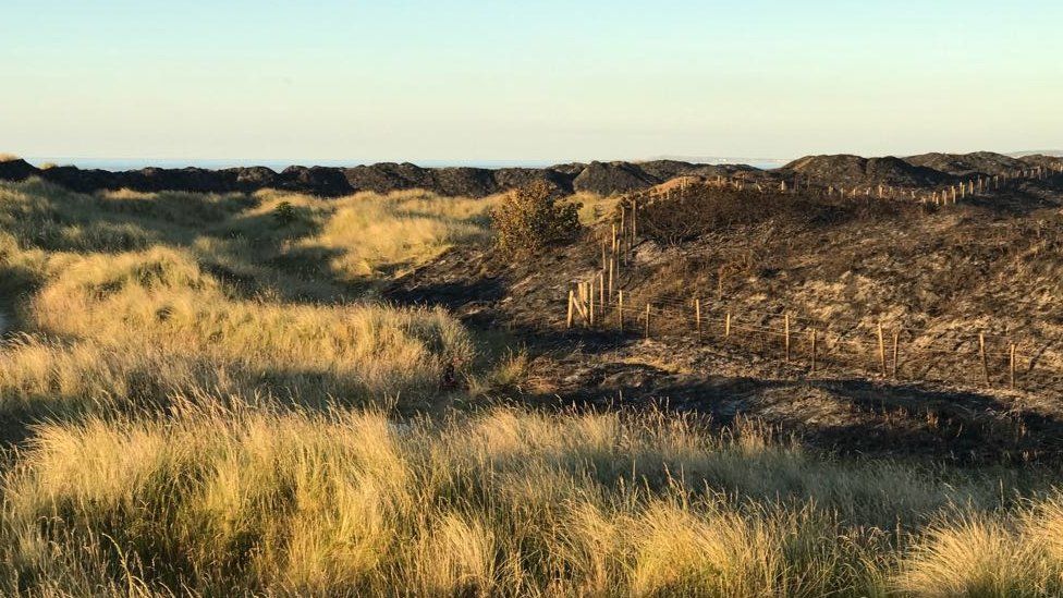 Benone Strand sand dunes fire 'deliberate' - BBC News