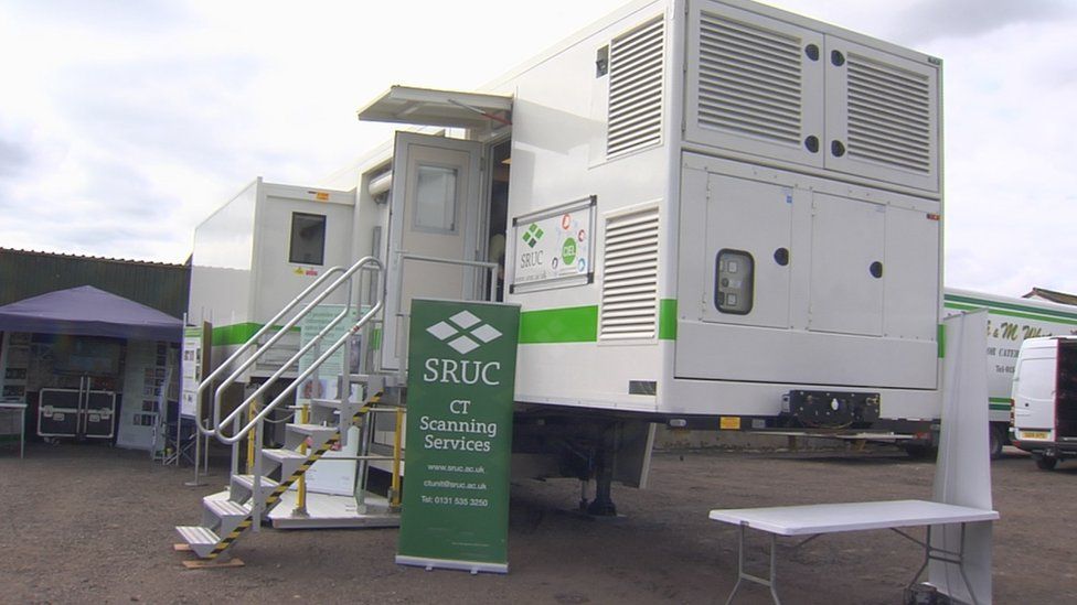 CT scans to 'improve' Scotland's sheep stocks - BBC News