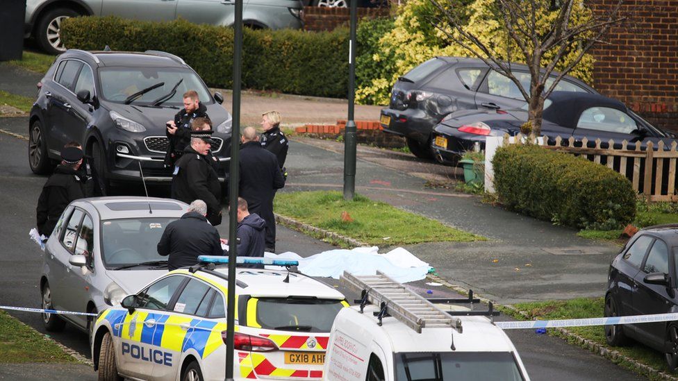 Crawley Down: Double murder suspect in 'unstable' condition - BBC News