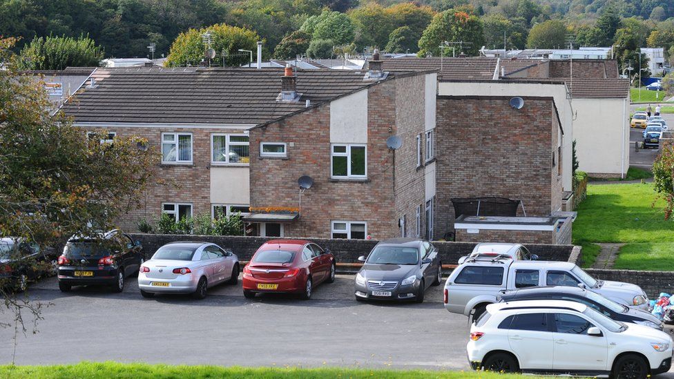 Wildmill baby brothers died from chest infections - BBC News