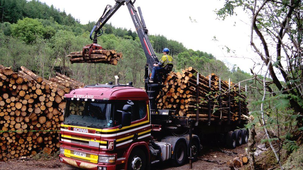 South American timber used for Borders Railway bridges - BBC News