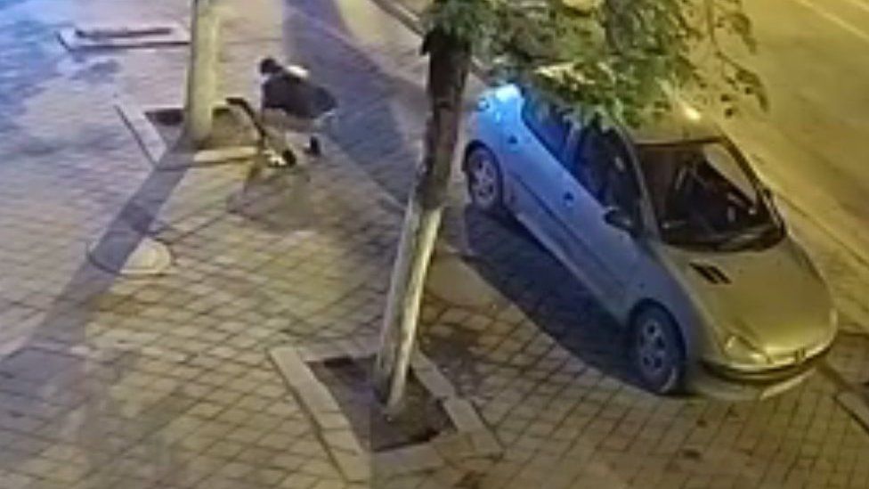 Moldovans despair at 'theft of the century' - BBC News