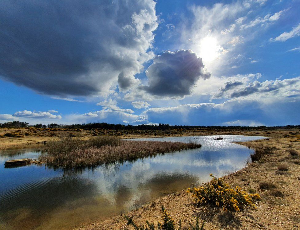 England's Big Picture: 4 April - 10 April 2022 - BBC News