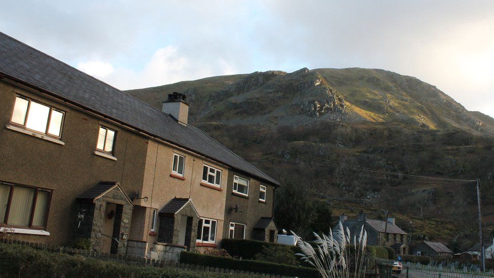 Yr haul yn ail-ymddangos mewn pentref ar ôl chwe wythnos - BBC Cymru Fyw