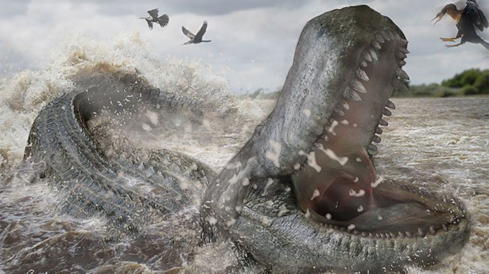 Giant prehistoric caiman had extra hip bone to carry its weight - BBC News