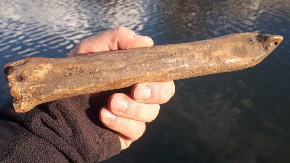 Ancient ice skate discovered in the Czech Republic - BBC Newsround