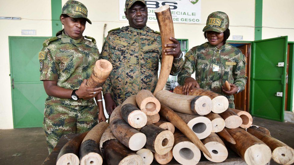 Africa in pictures: 10-16 June 2016 - BBC News