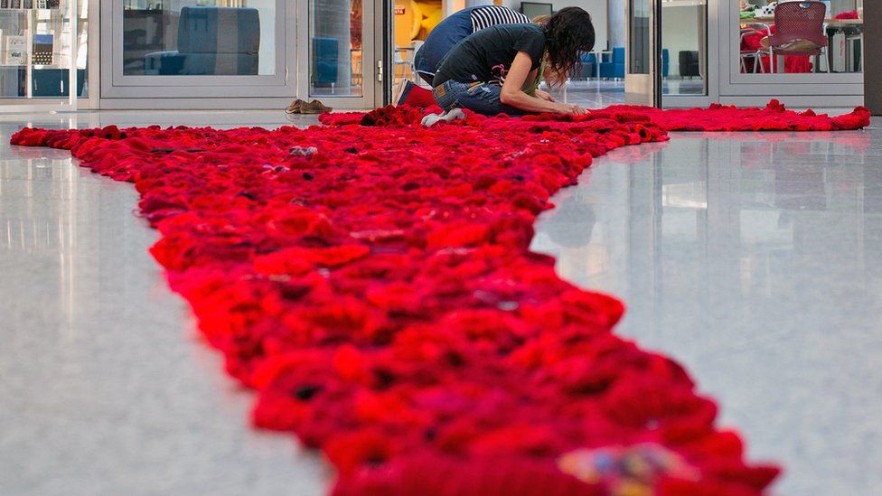 GCHQ staff create poppy waterfall for legion appeal - BBC News