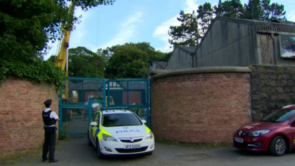 Oliver Scullion death: Family tribute after boy's fatal accident - BBC News