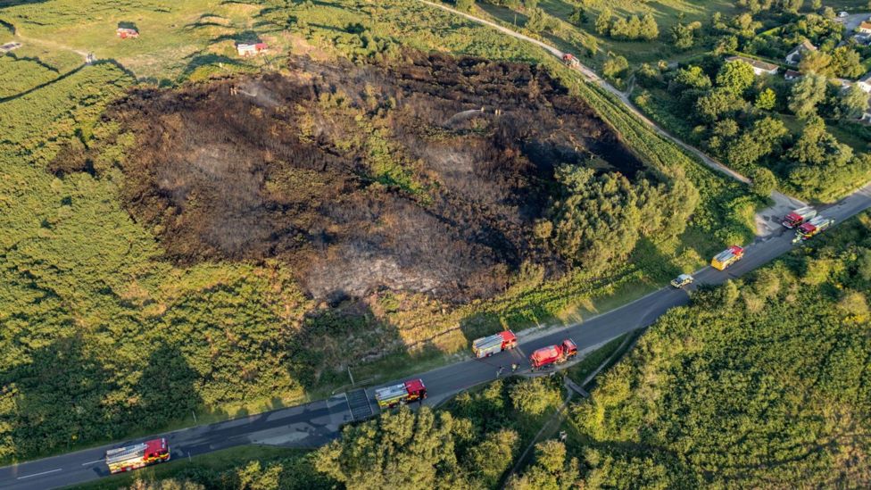 Crews tackle Winfrith heath fire as temperatures soar - BBC News