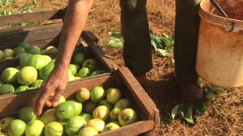 US abstains from UN vote against Cuba embargo - BBC News