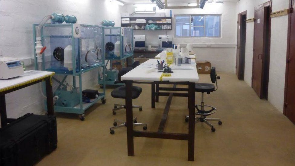 Ebola scientist from Wiltshire 'staggered' by CBE honour - BBC News