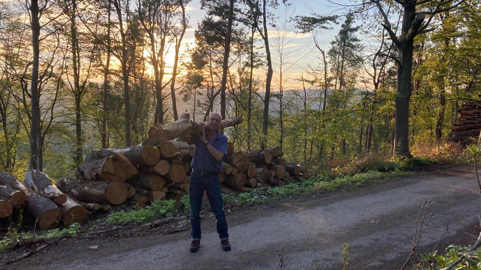 Chatsworth to restore 25,000 trees to landscape - BBC News