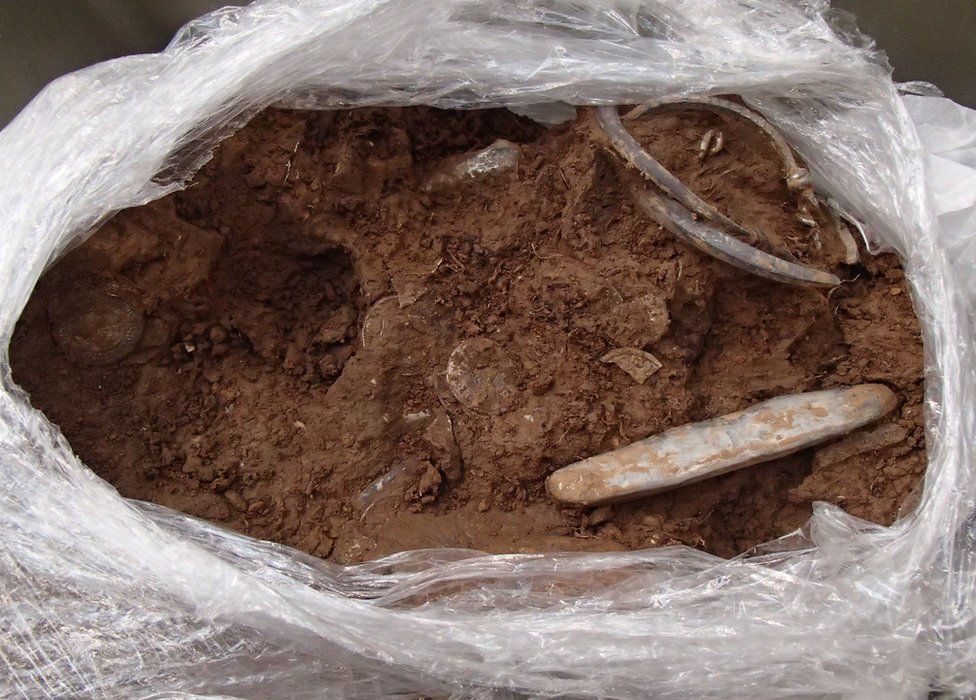 Watlington 'rare' Viking hoard found by metal detectorist - BBC News