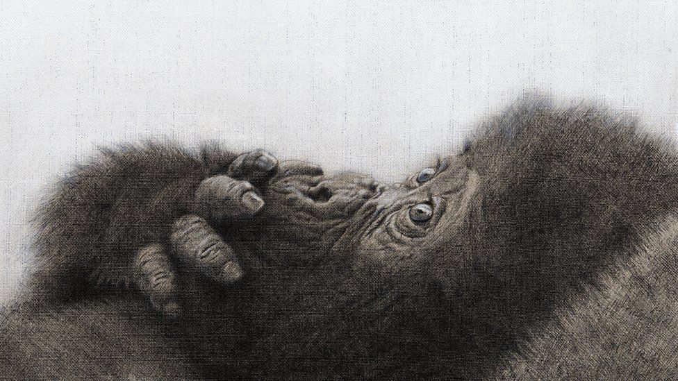 Biro artist Cy Baker's work aids conservation efforts - BBC News