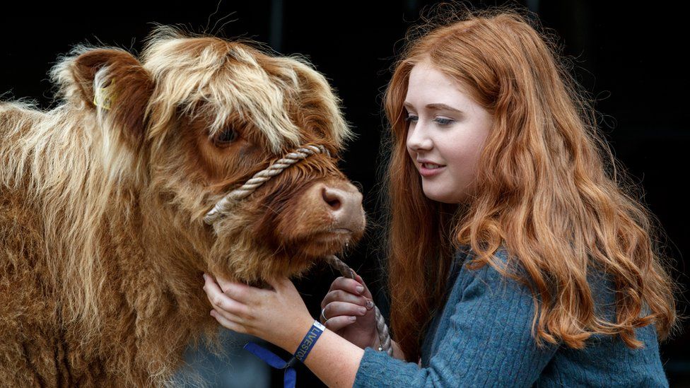 In pictures: Final preparations ahead of the Royal Highland Show - BBC News