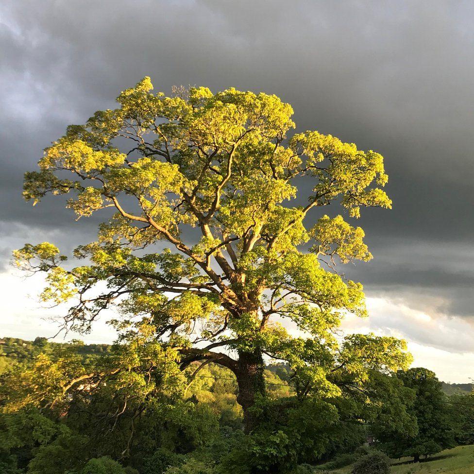 England's Big Picture: 22 August - 28 August 2022 - BBC News