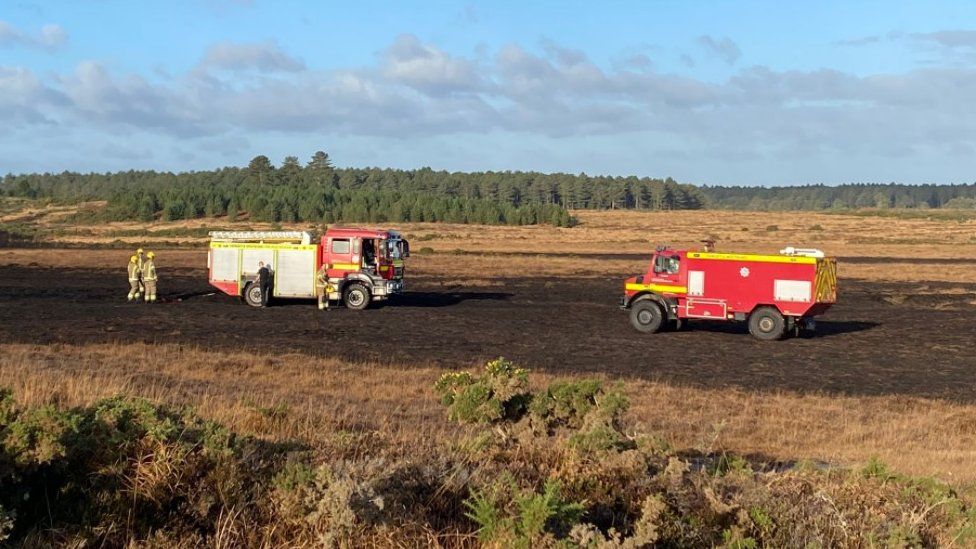 Large fire at Dorset coastal nature reserve extinguished - BBC News