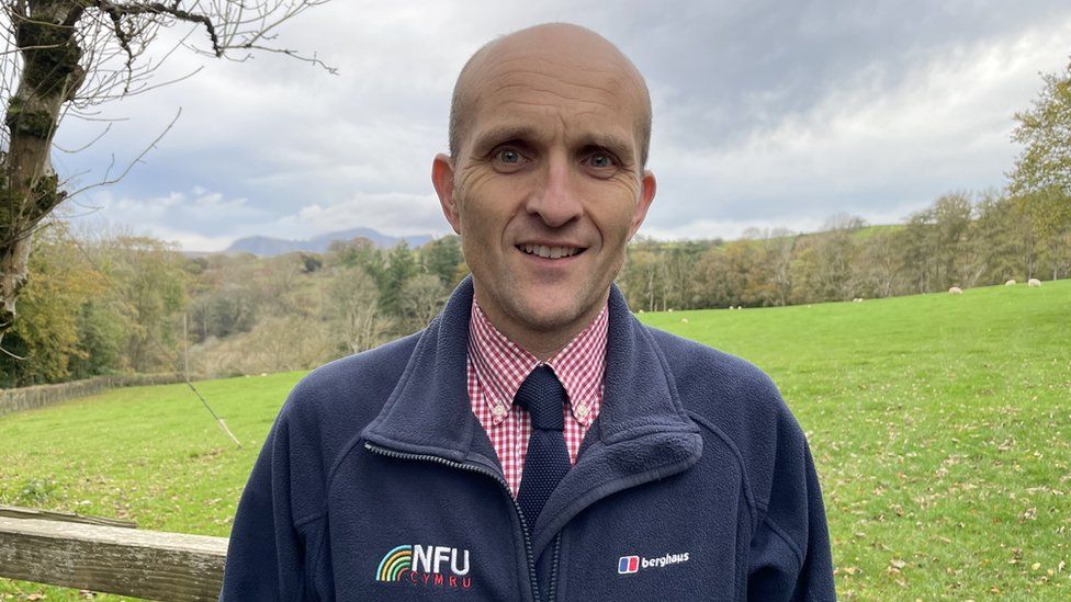 Costau byw: Ffermwyr yn 'darged i ladron' dros y gaeaf - BBC Cymru Fyw