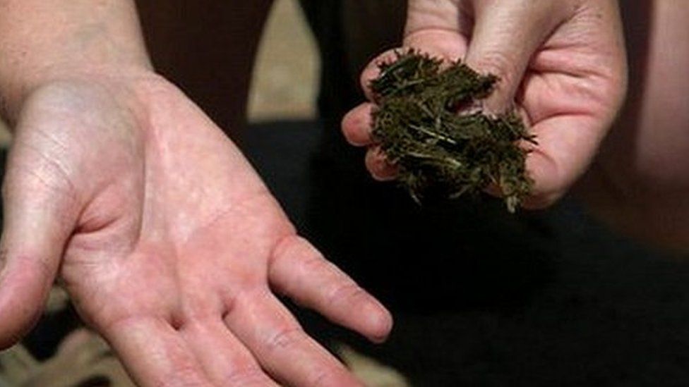 How rhinos use poo to communicate with each other - BBC Newsround