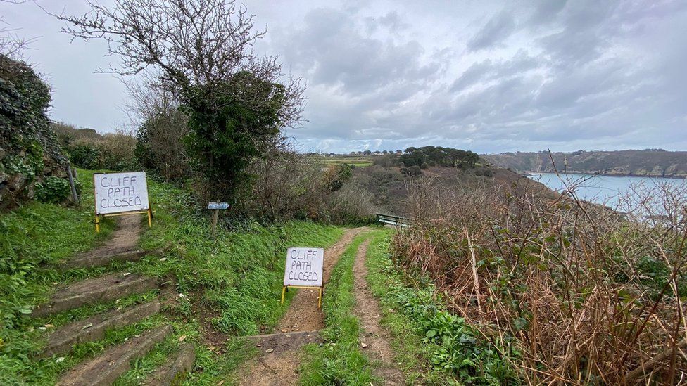 Trees cleared following extreme weather in Guernsey - BBC News