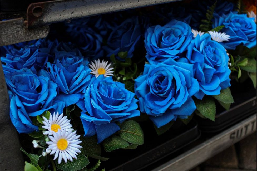 Your pictures on the theme of 'into the blue' - BBC News