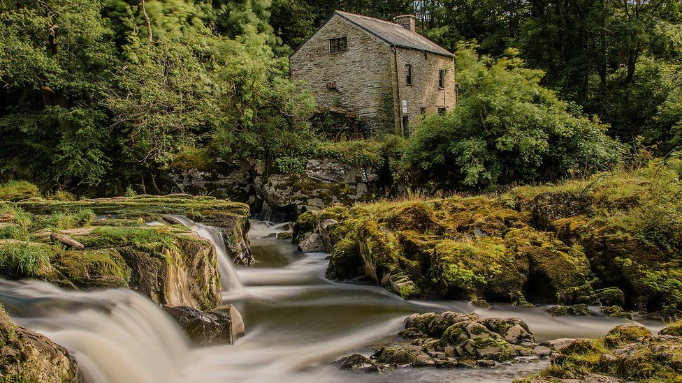 Your Pictures: 27 September - 3 October 2017 - BBC News