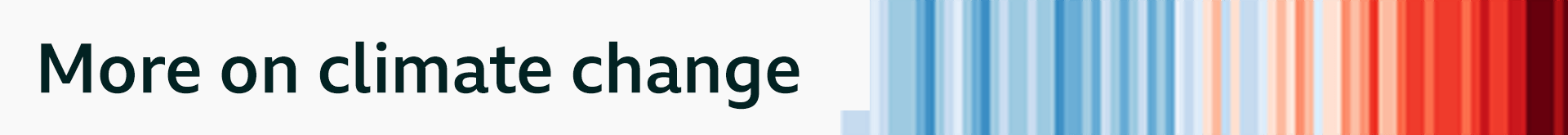 Climate change: Droughts and fires 'may be features of Wales' - BBC News