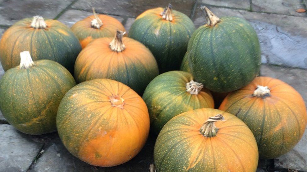 Pumpkins and galoshans: Changing Halloween traditions - BBC News