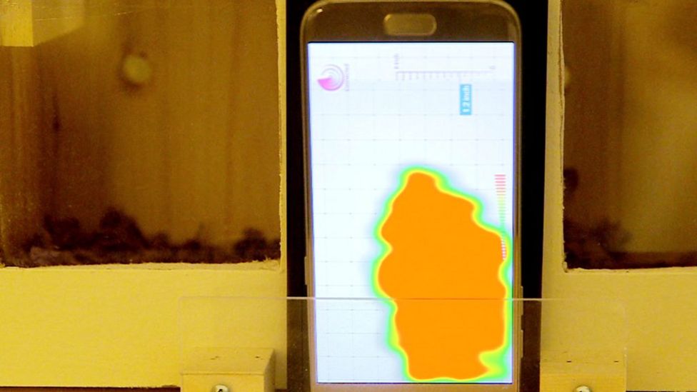 Fruit-shaped sensor 'can improve freshness' - BBC News