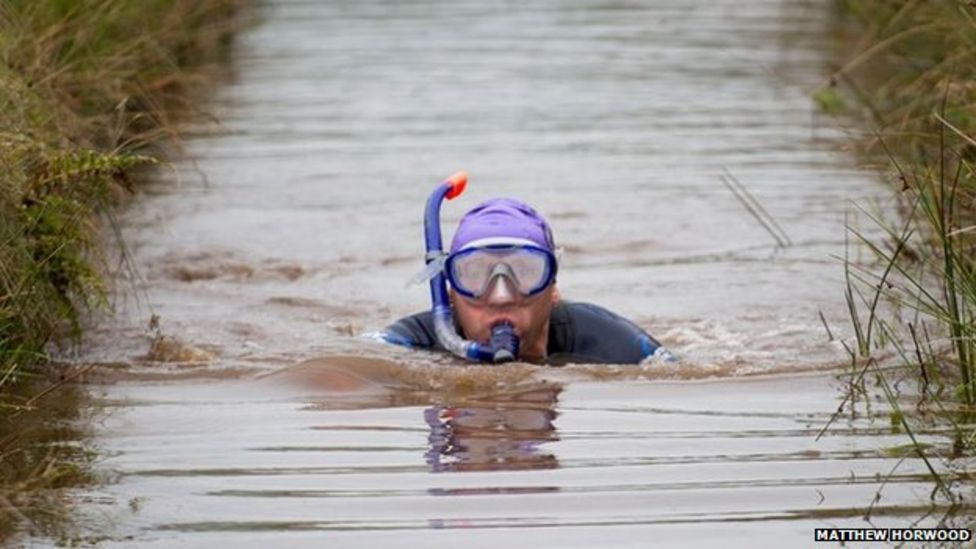 World bog snorkelling championships marks 30th anniversary - BBC News